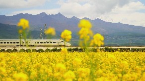 NEWS-DETAIL-CCTVPLUS